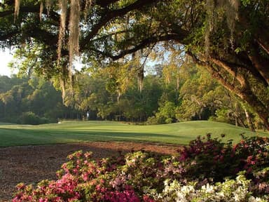 Golf Memberships at Willbrook Plantation | Fees, Amenities & Benefits