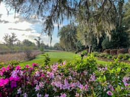 Willbrook Plantation: The Course - Willbrook Plantation